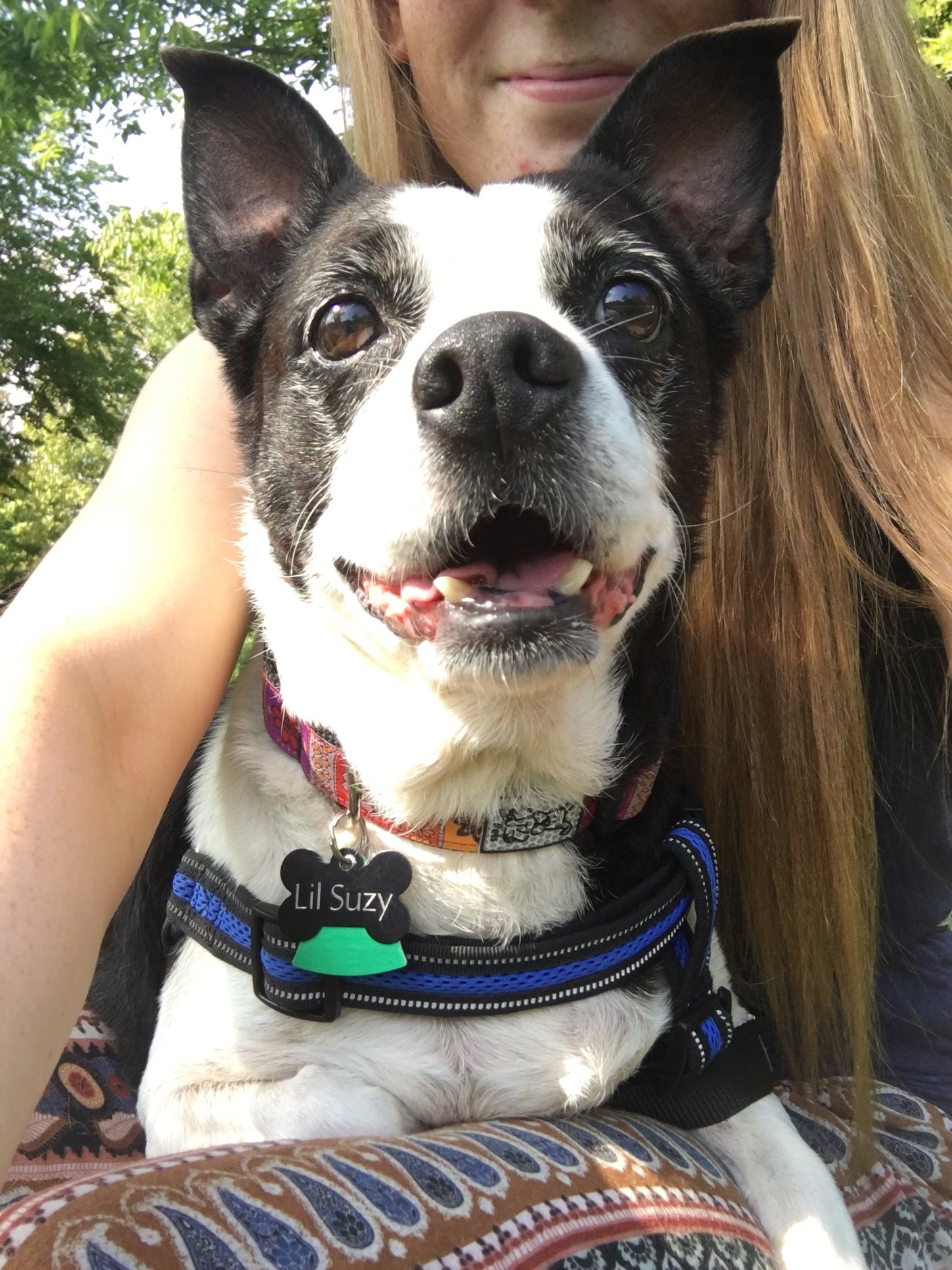 Lil Suzy - The Avery Foundation