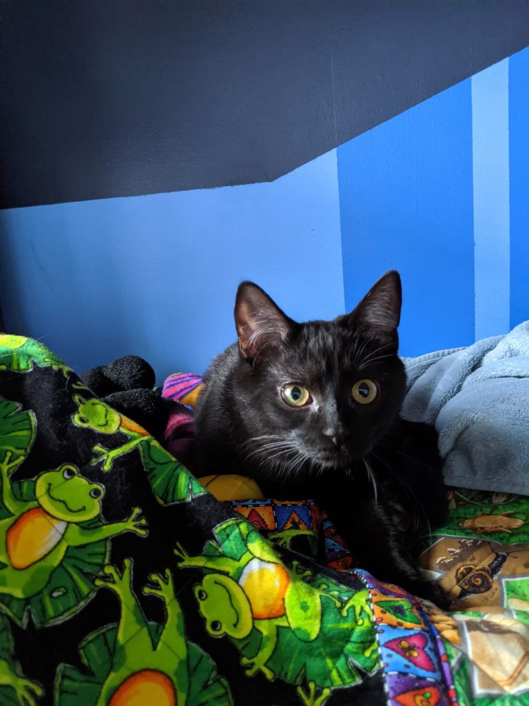 Lenor - The Avery Foundation