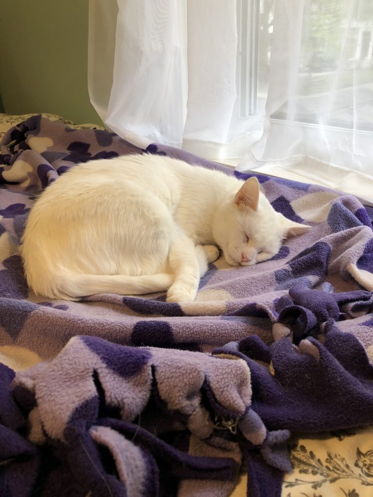 Winter - The Avery Foundation