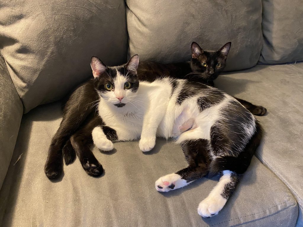 Pepper & Pickles - The Avery Foundation