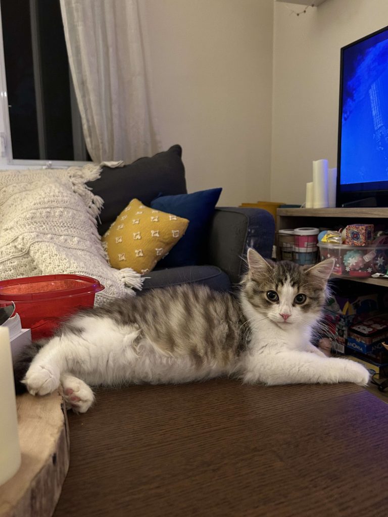 Russell - The Avery Foundation