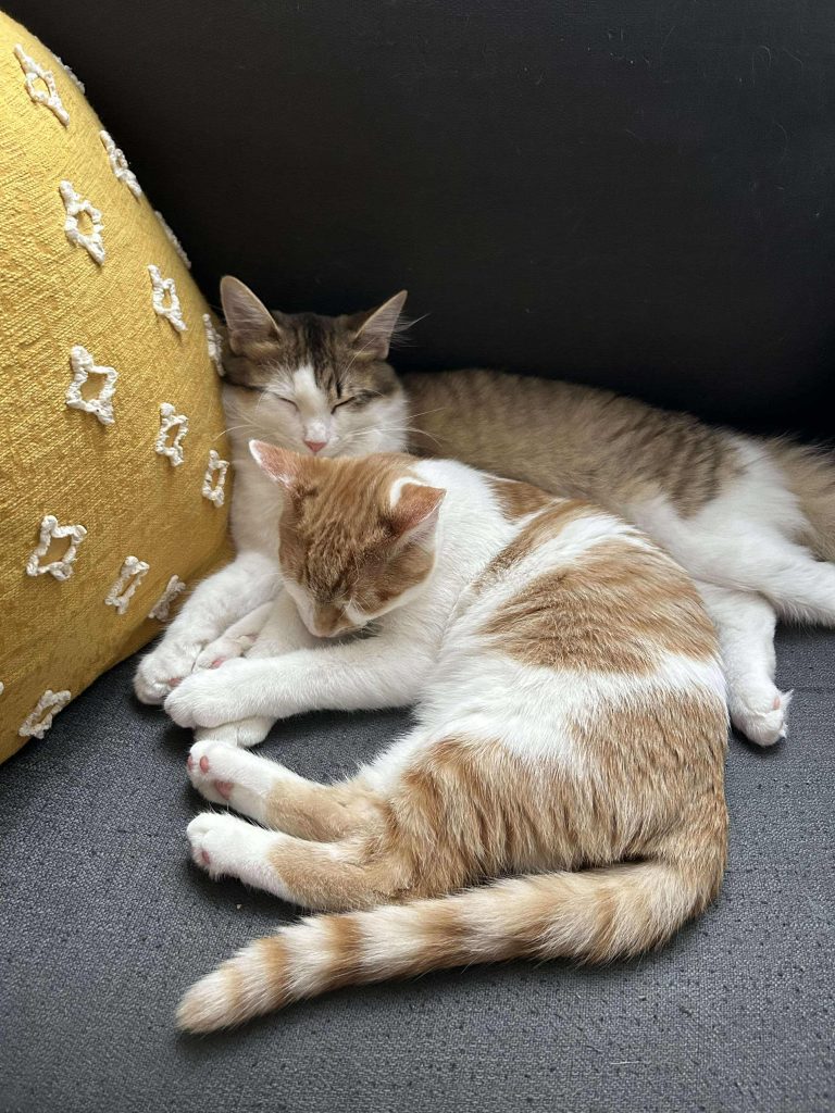 Elora & Furgus - The Avery Foundation